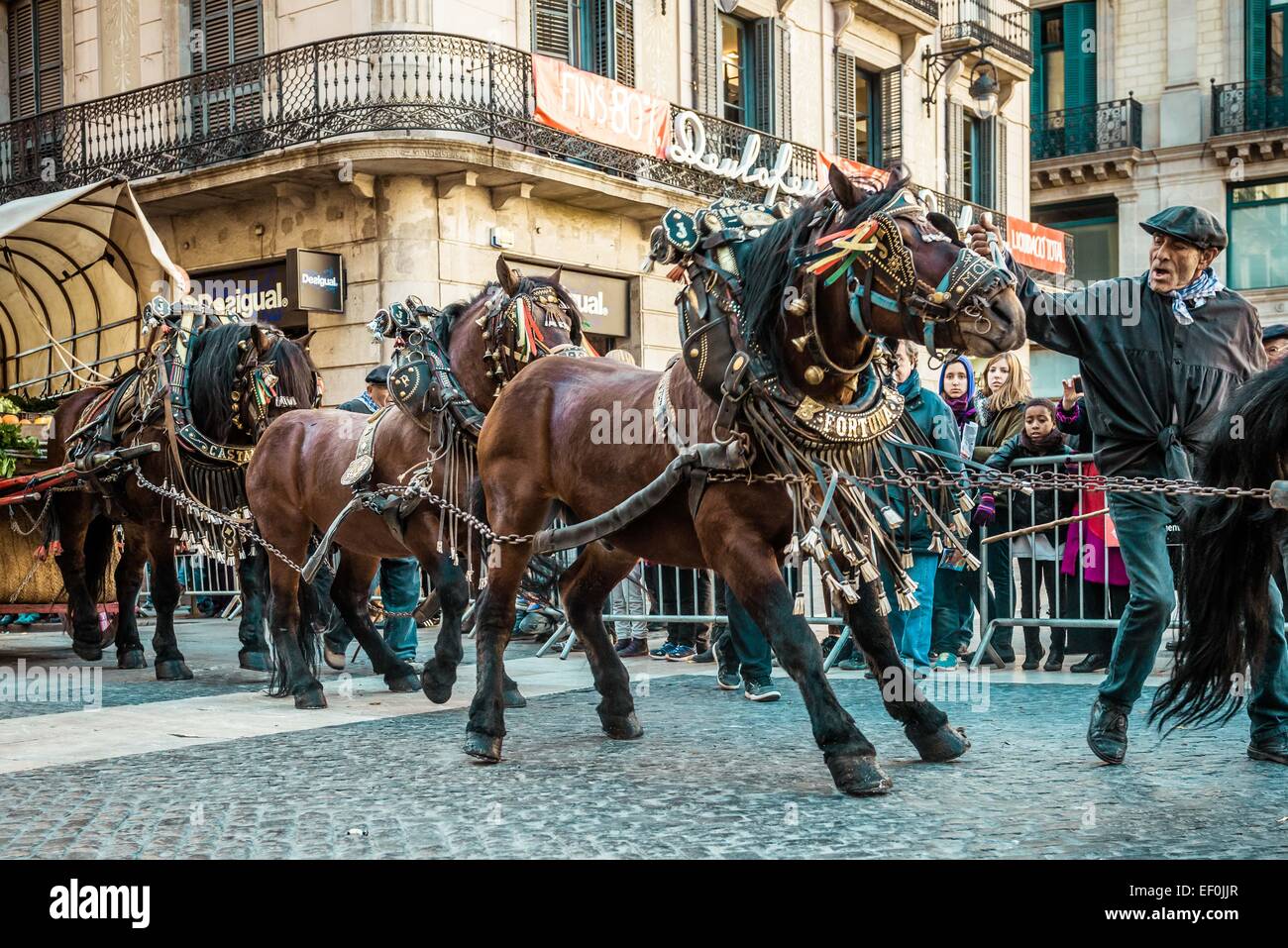 Traditional horse drawn chariots hi-res stock photography and images ...