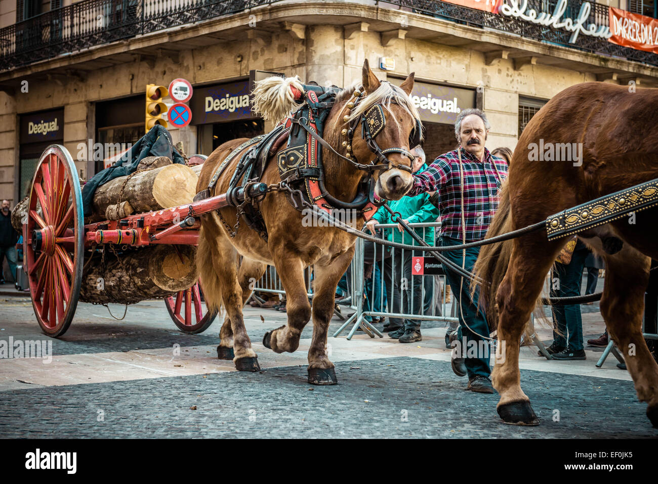 Barcelona, Catalonia, Spain. 24th Jan, 2015. Traditional horse-drawn ...