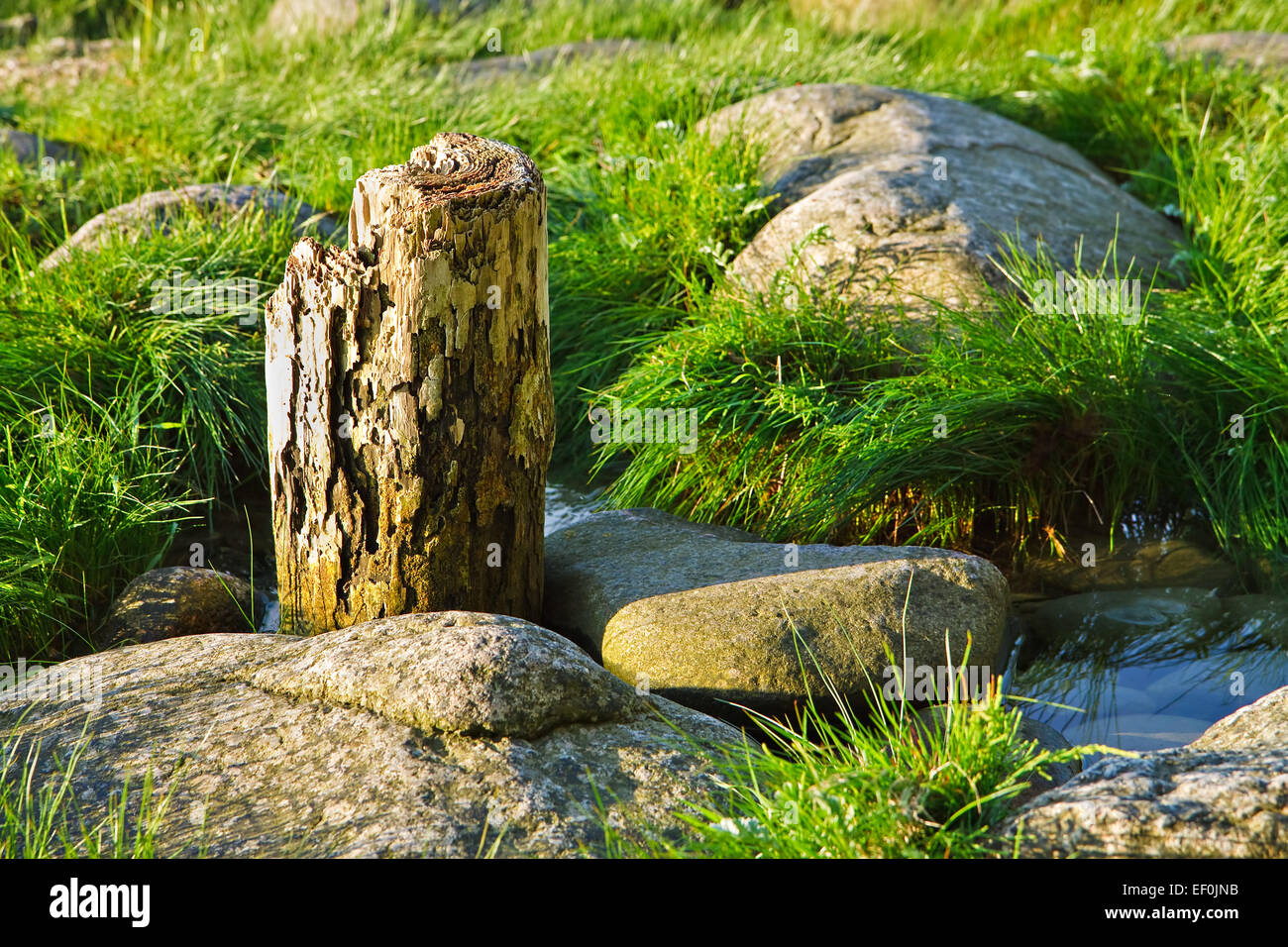 Rock groynes hi-res stock photography and images - Alamy