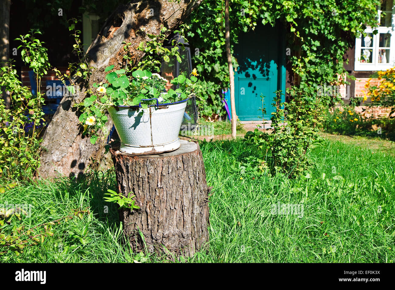 Gras house hi-res stock photography and images - Alamy