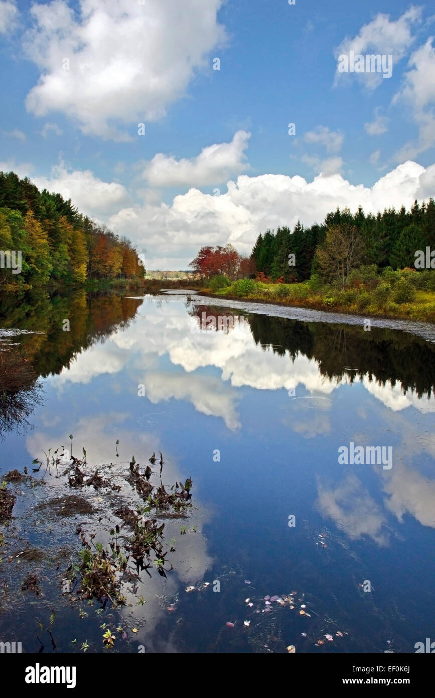 Fall landscape of colorful trees and reflection at Long Pond state ...