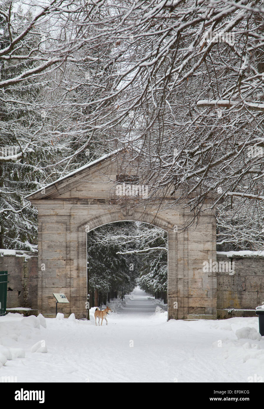 Sylvia gate hi-res stock photography and images - Alamy