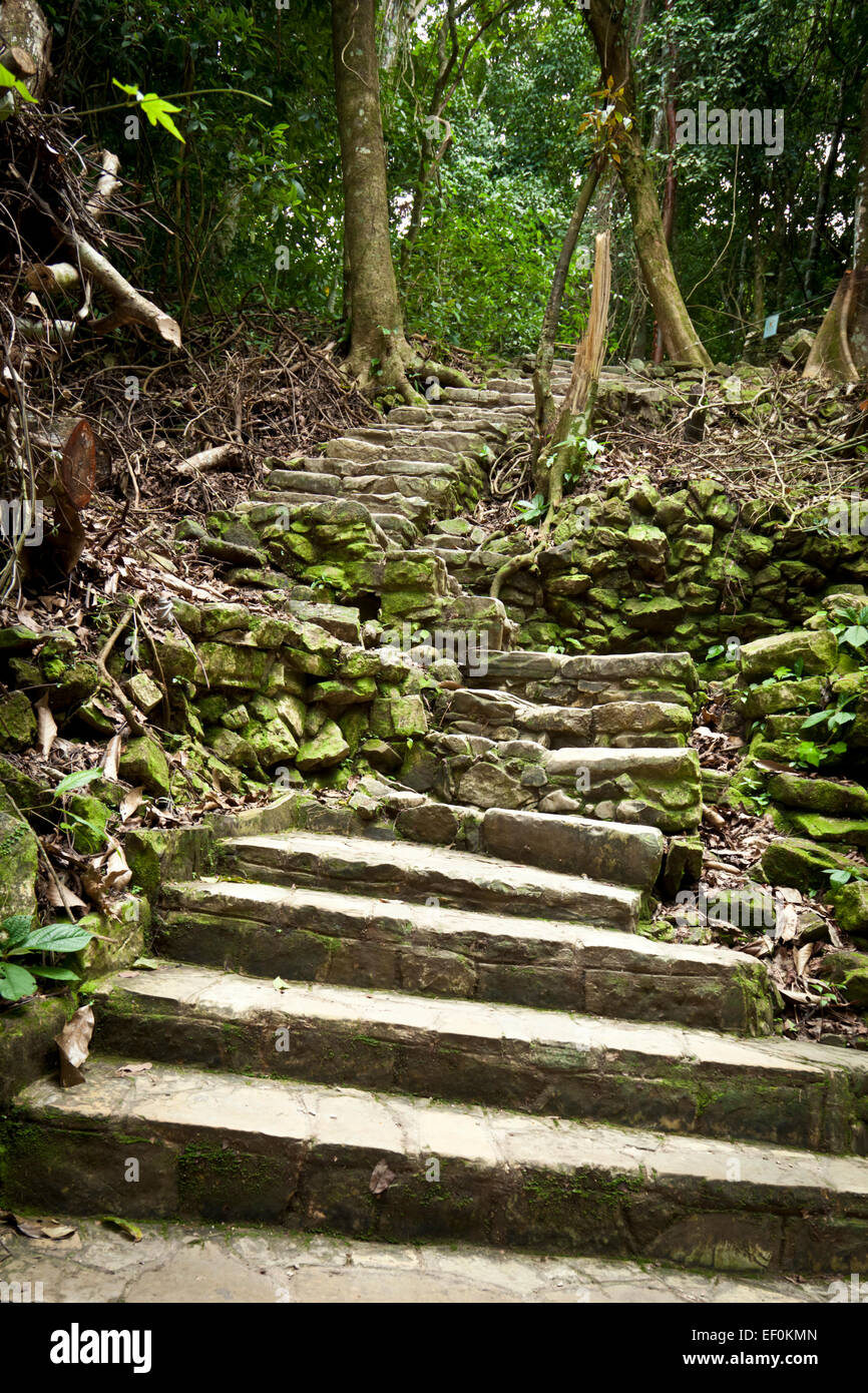 Stairs in Palenque in Mexico Stock Photo - Alamy
