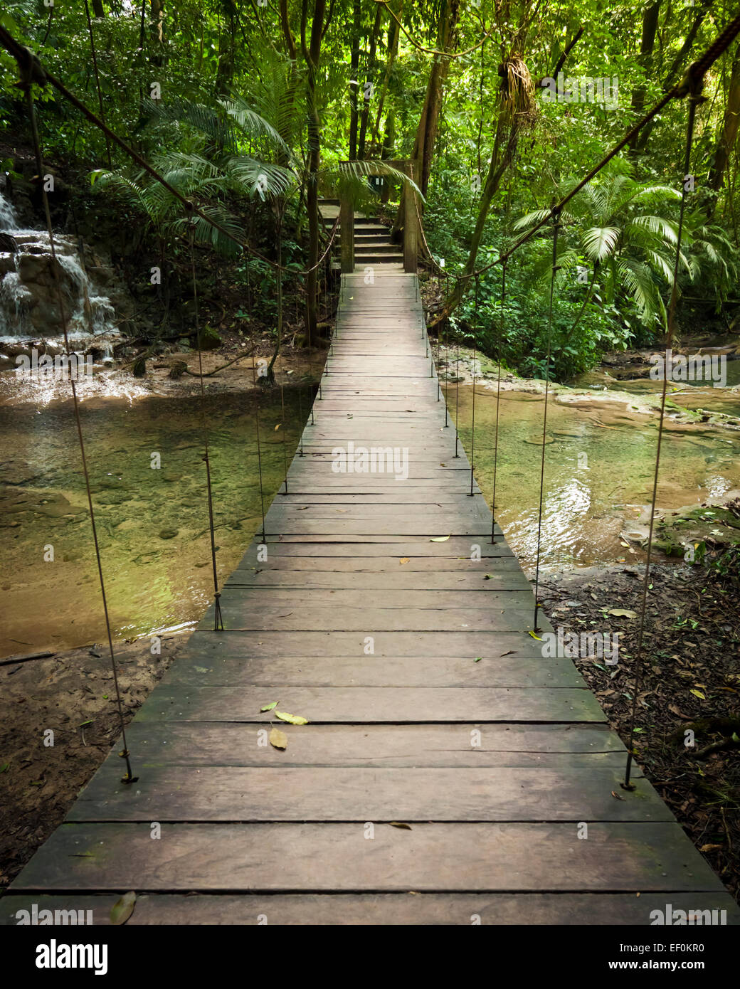 Bridge in Palenque in Mexico Stock Photo - Alamy