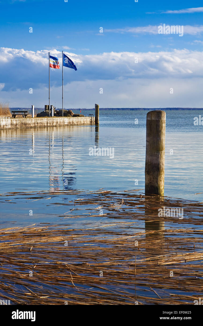 Natur am bodden hi-res stock photography and images - Alamy