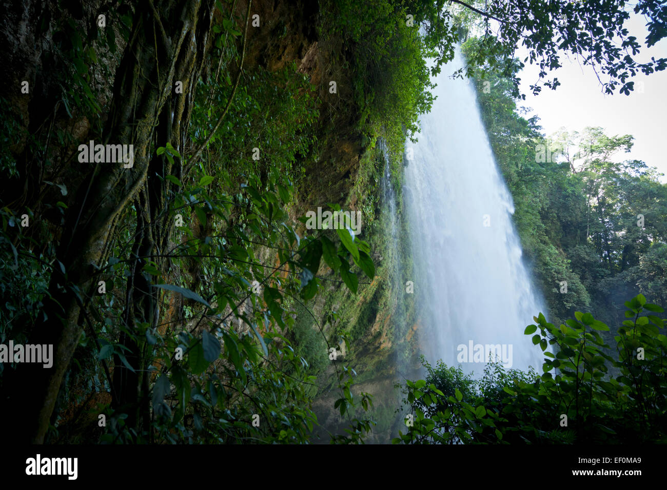 Cascadas de cascadas hi-res stock photography and images - Alamy