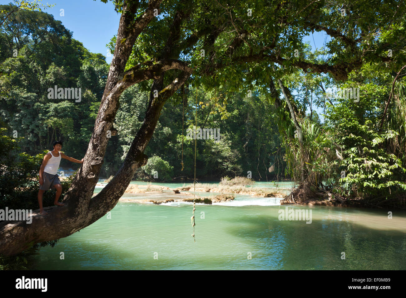 Aqua Azul Waterfalls in Chiapas, Mexico Stock Photo - Alamy