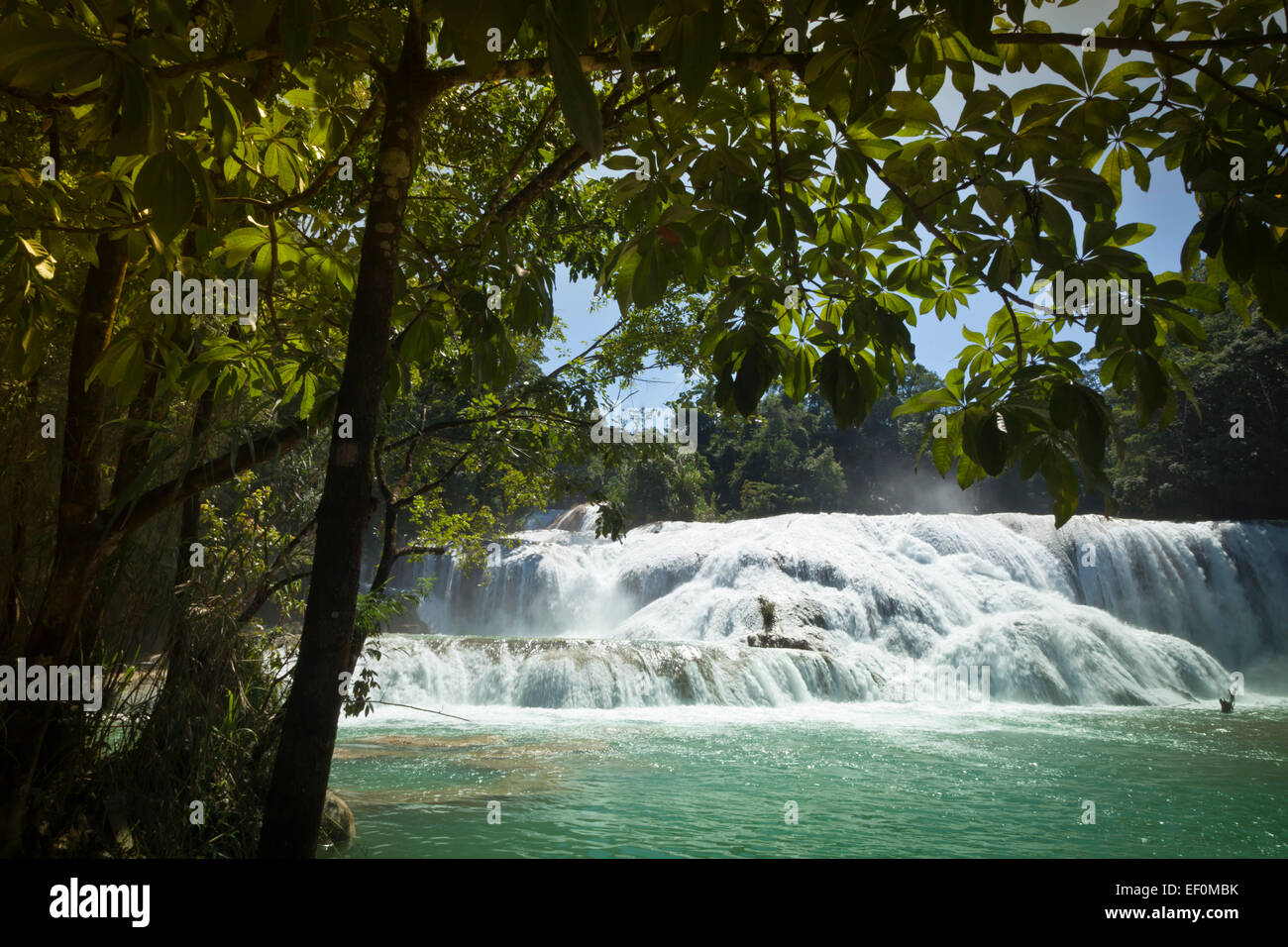 Aqua Azul Waterfalls in Chiapas, Mexico Stock Photo - Alamy