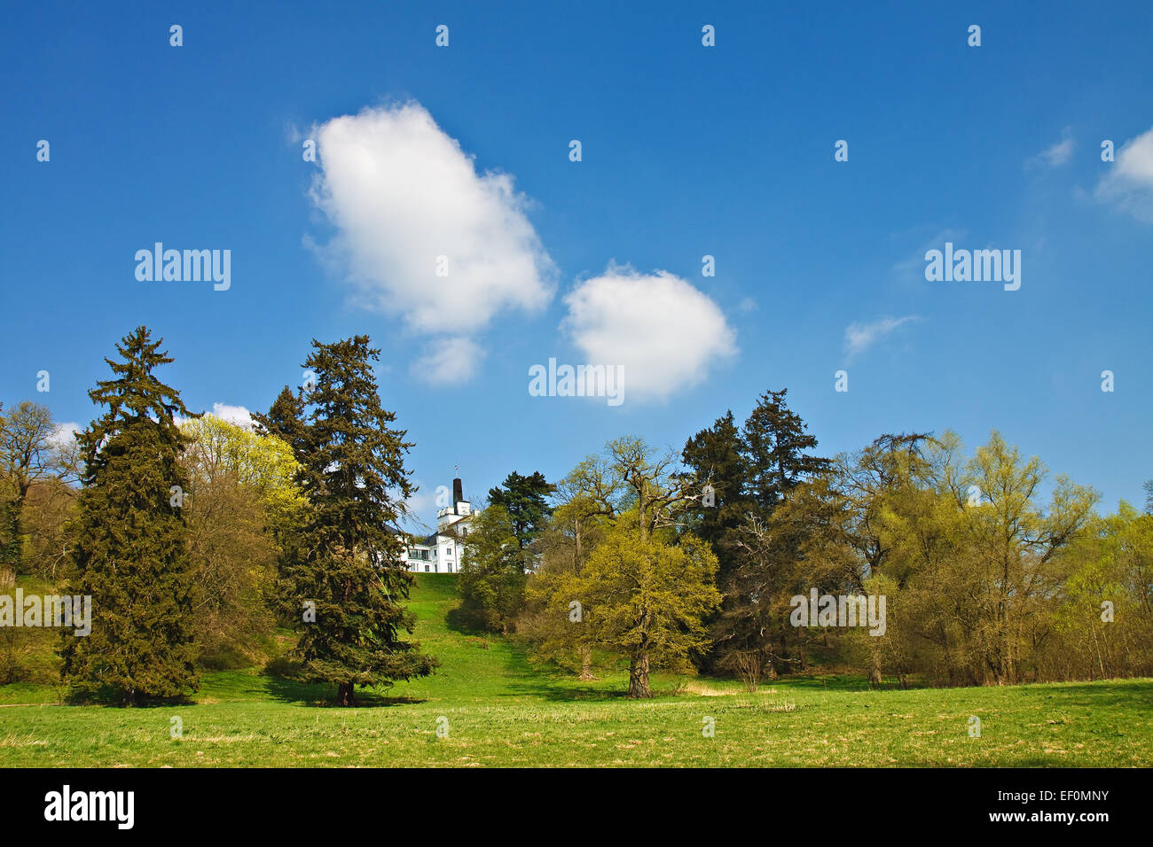 Landscape with trees Stock Photo - Alamy