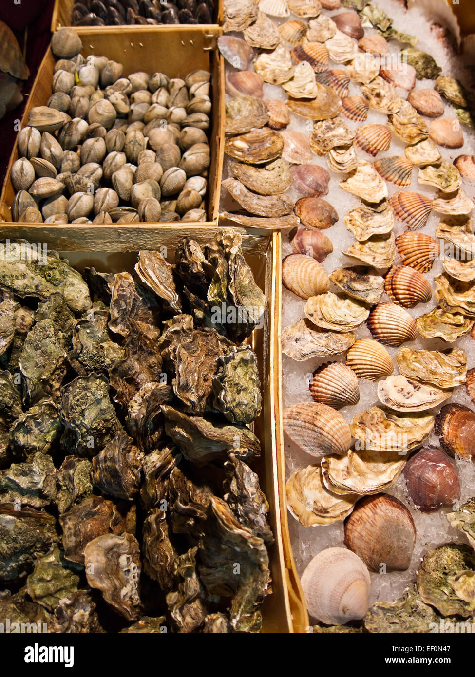 Oysters and mussels hi-res stock photography and images - Alamy