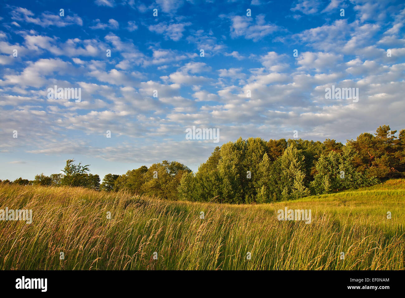 Landscape of germany hi-res stock photography and images - Alamy
