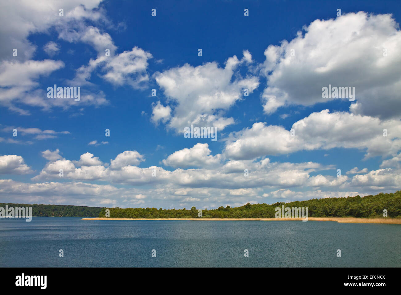 Landscape on a lake in Germany Stock Photo - Alamy