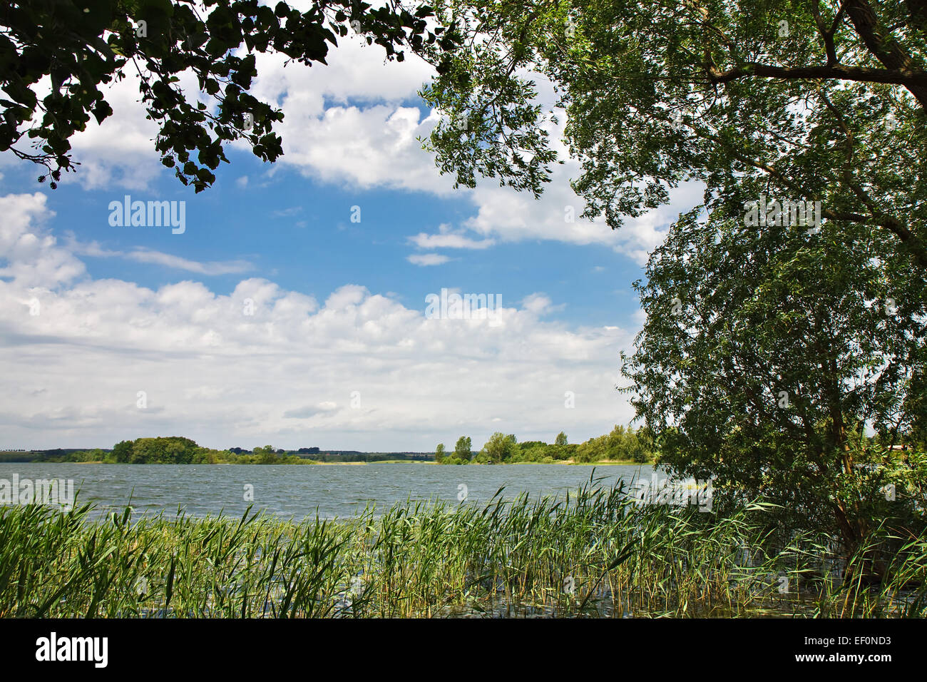 Landscape on a lake in Germany Stock Photo - Alamy