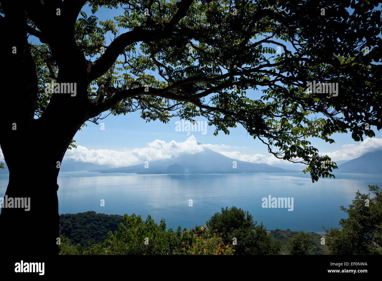 View over Lake Atitlan in Guatemala Stock Photo - Alamy