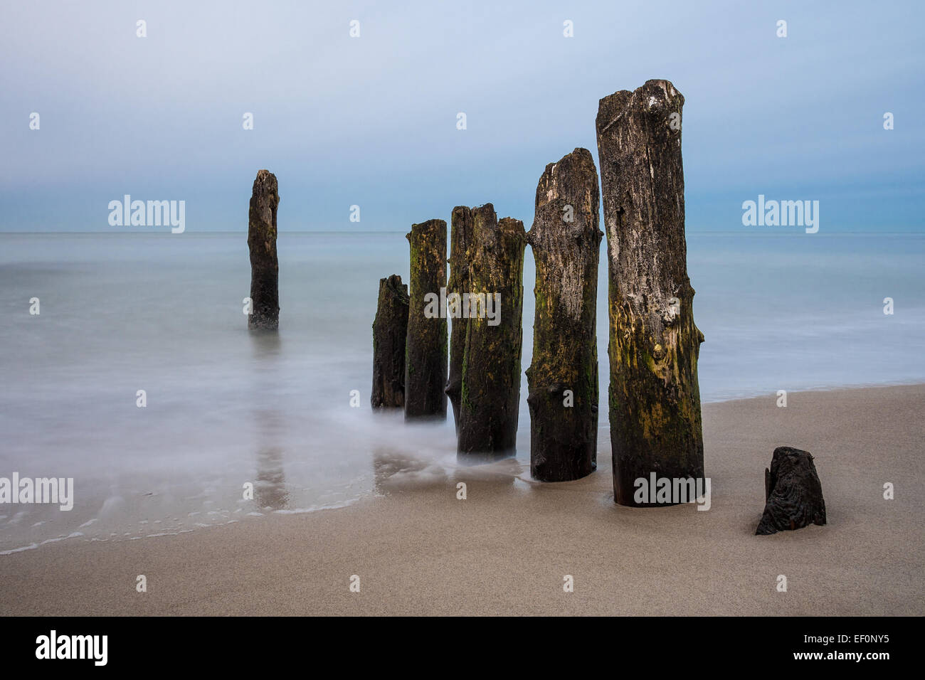 Groynes on shore of the Baltic Sea Stock Photo - Alamy