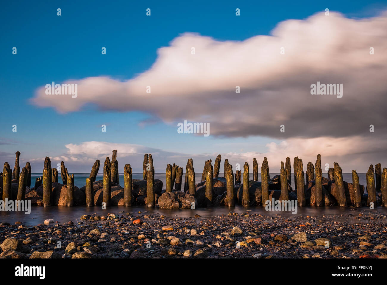Groynes on shore of the Baltic Sea Stock Photo - Alamy
