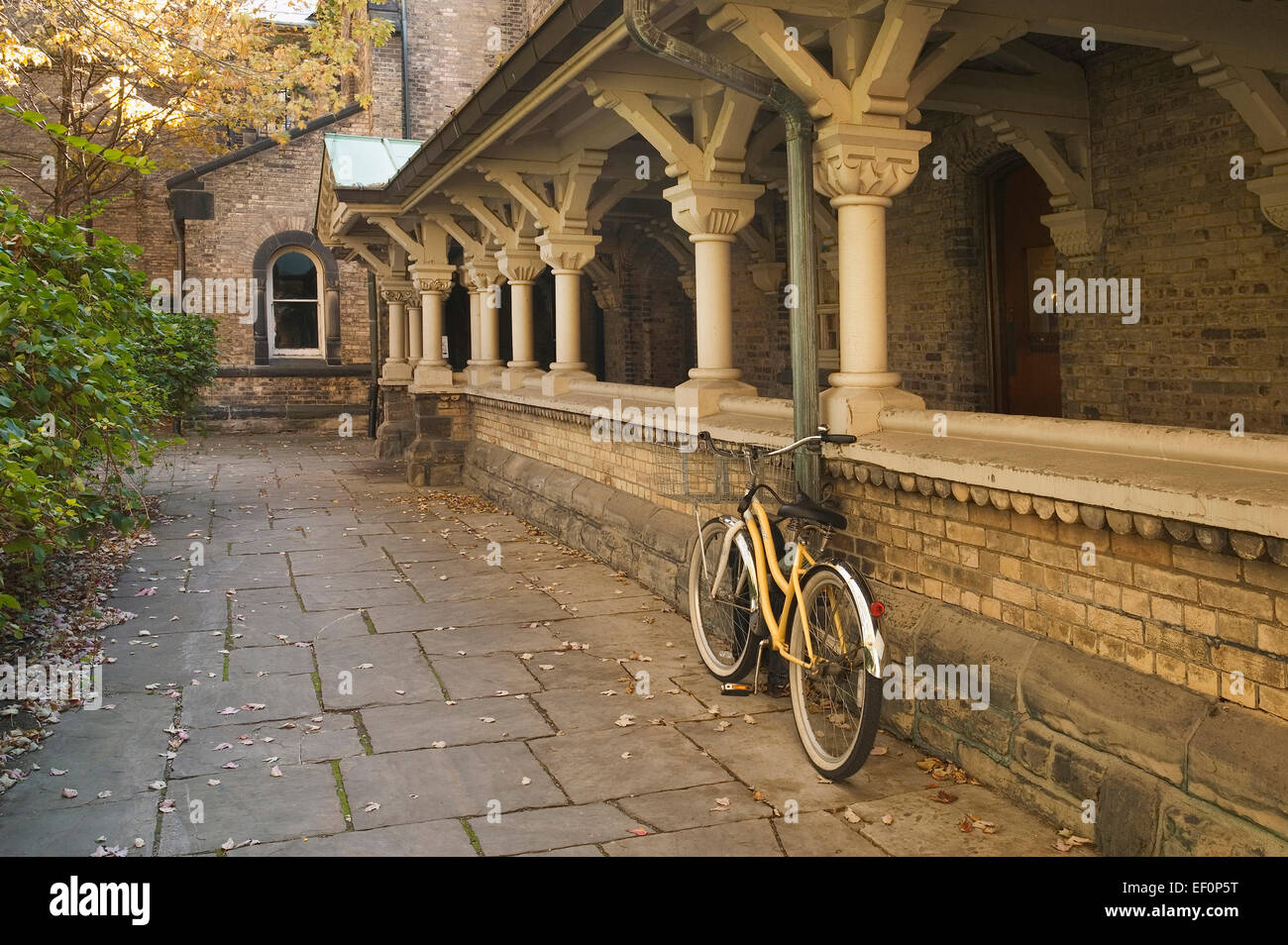 Old Library,University of Toronto Canada Stock Photo - Alamy