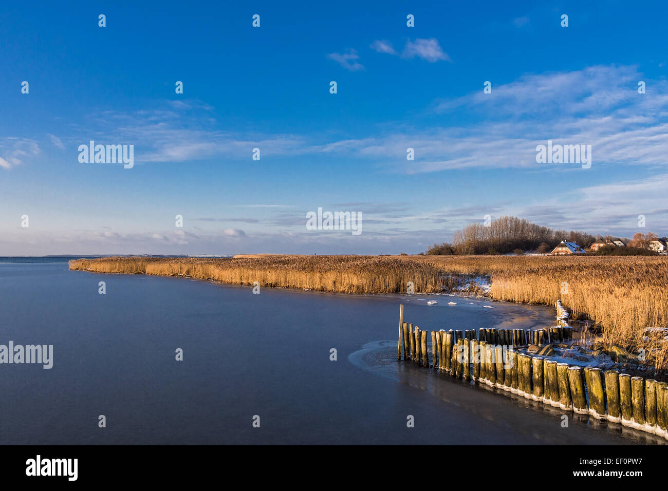 Landscape on shore of the Baltic Sea in Germany Stock Photo - Alamy