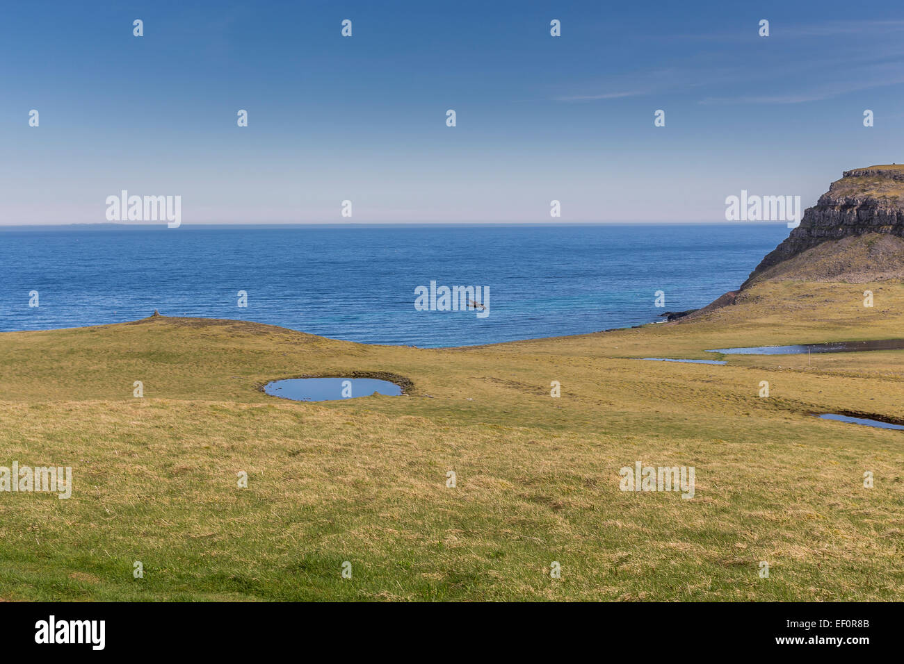 Iceland Westfjords Látrabjarg birds on the cliffs. Alca ,Pufin ...