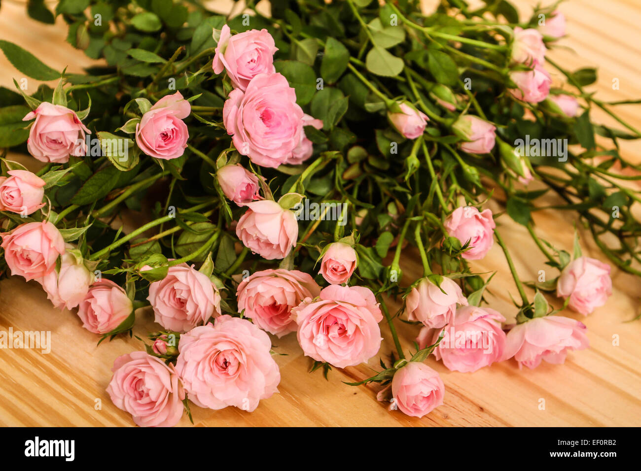 Bunch of small pink Roses Stock Photo - Alamy