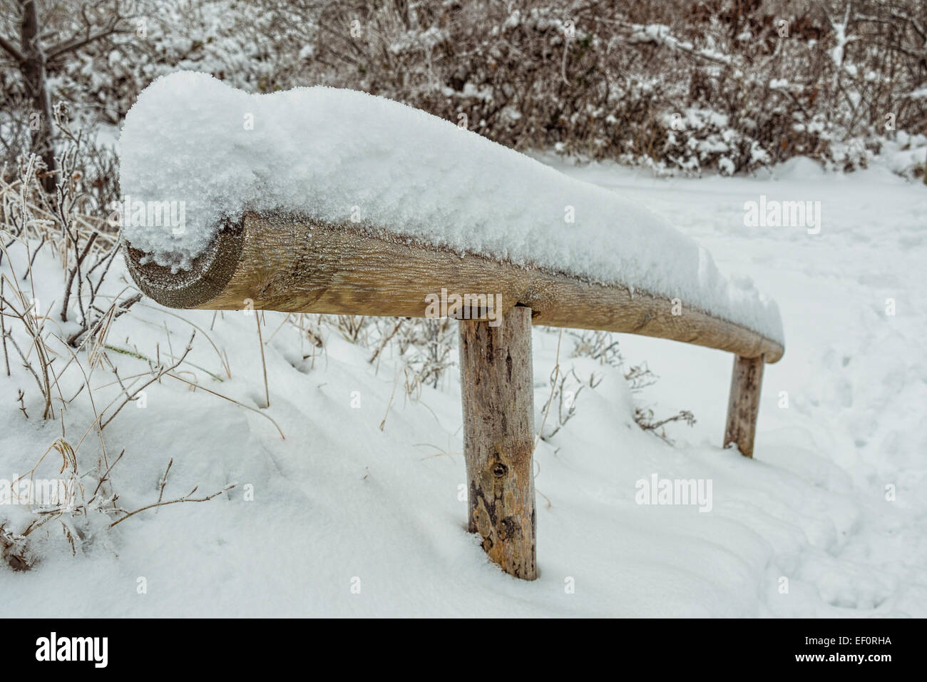 Western path detail hi-res stock photography and images - Alamy