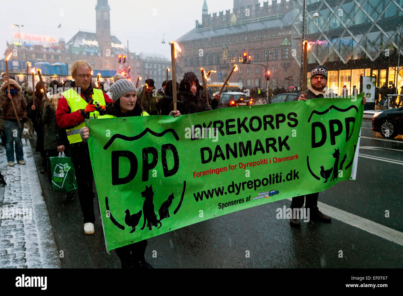 Breeds of dogs hi-res stock photography and images - Alamy