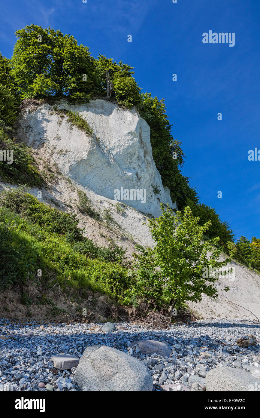 Chalk cliffs on shore of the Baltic Sea on the island Ruegen (Germany ...