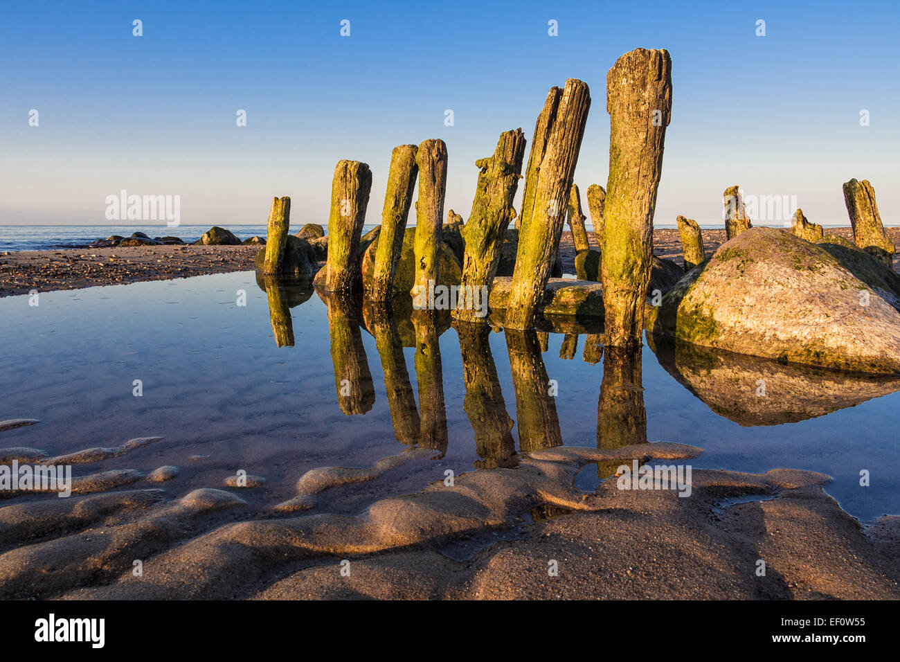 Groynes on shore of the Baltic Sea Stock Photo - Alamy
