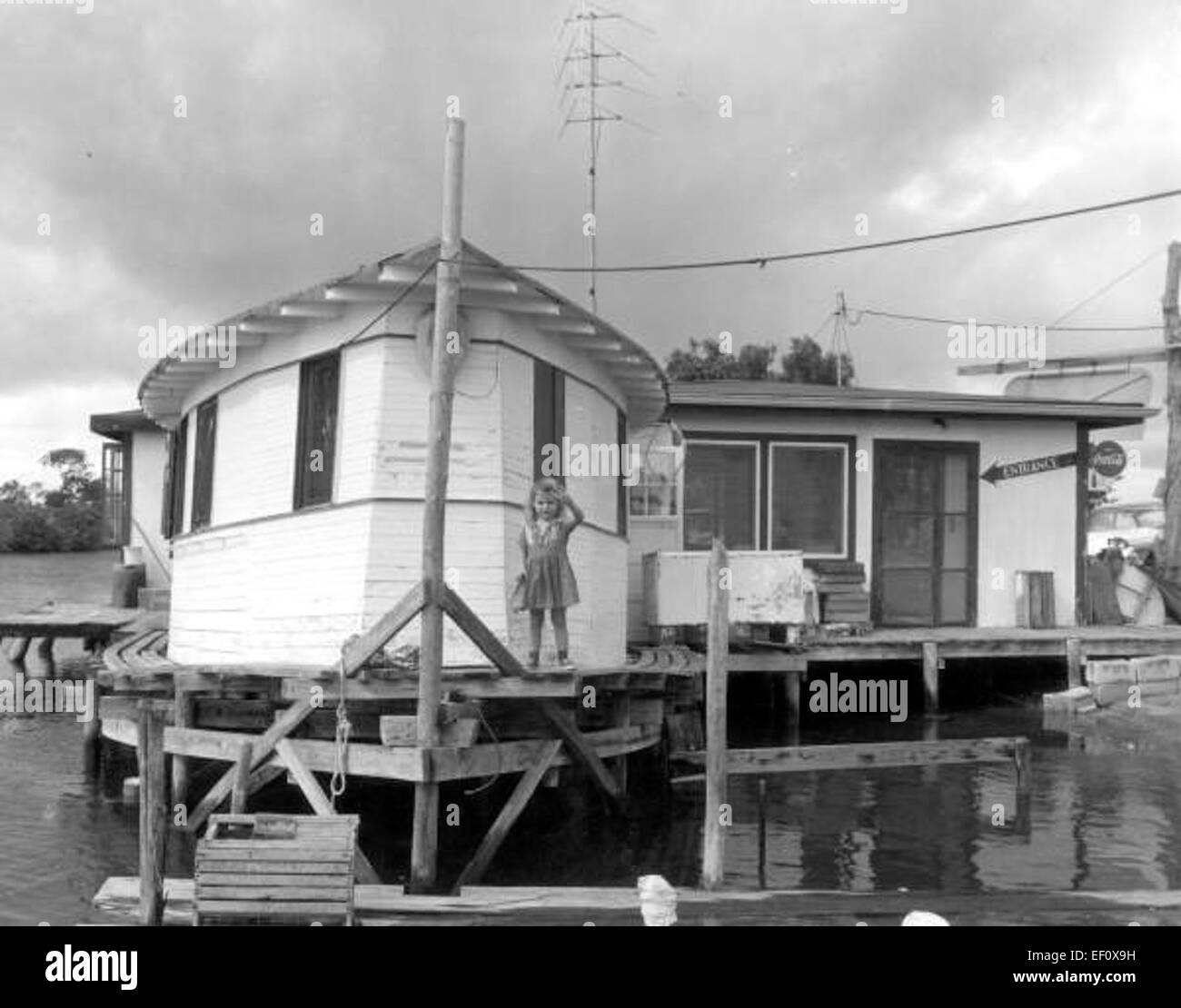 Is Fredricka Whitfield Black