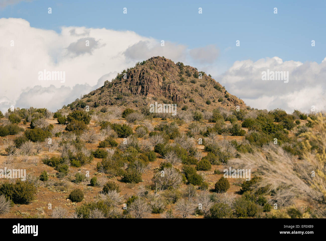 Scenic backgrounds hi-res stock photography and images - Alamy