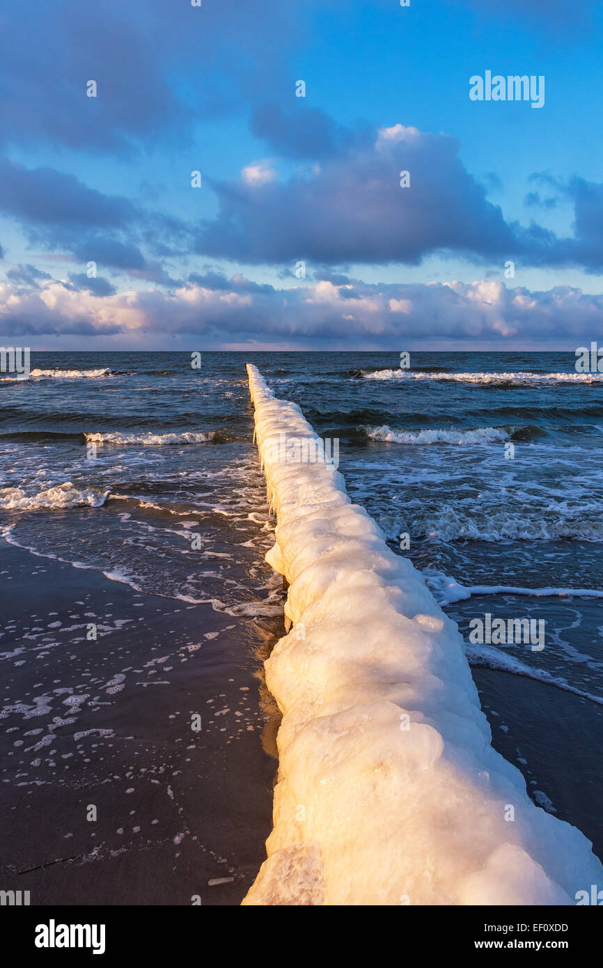 Groynes on the beach at zingst hi-res stock photography and images - Alamy