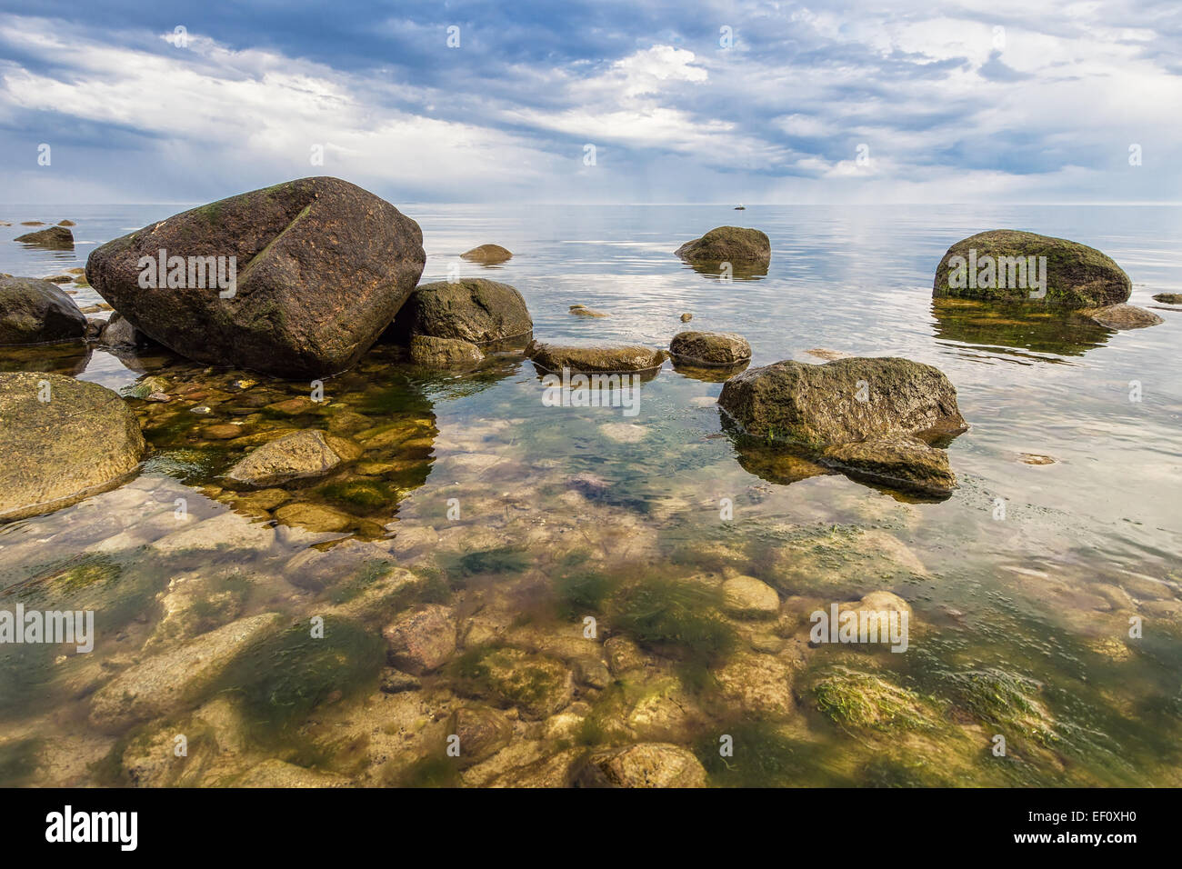 Foundlings on shore of the Baltic Sea Stock Photo - Alamy