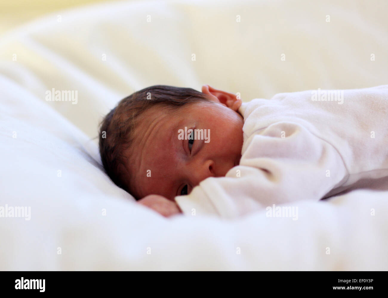 Premature Baby Newborn Stock Photo - Alamy
