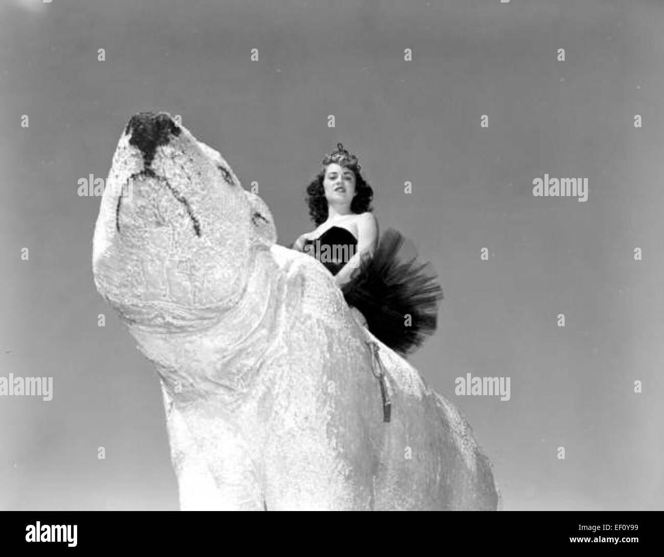 This image shows a woman riding a polar bear float during the ...