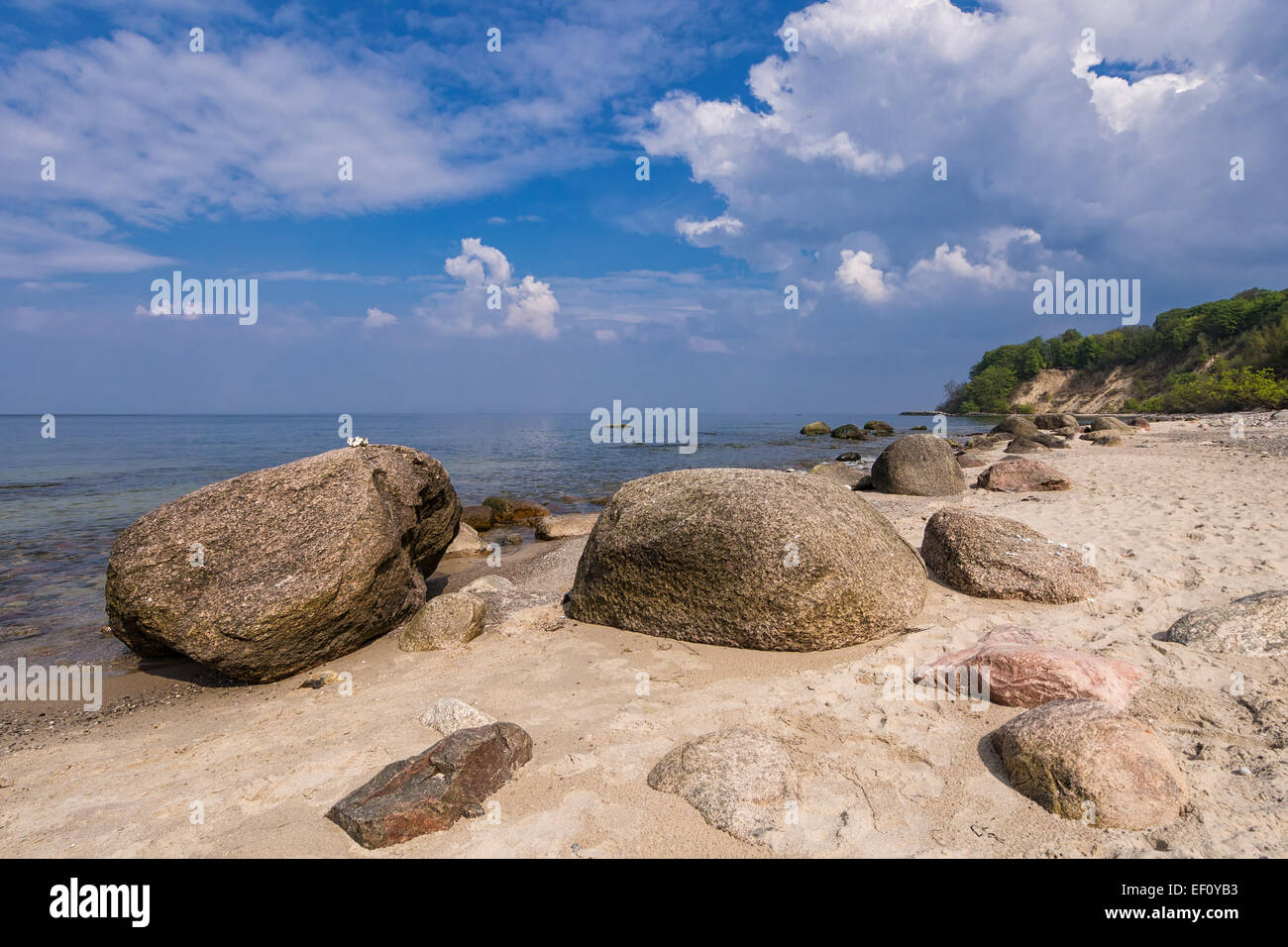 Foundlings on shore of the Baltic Sea Stock Photo - Alamy