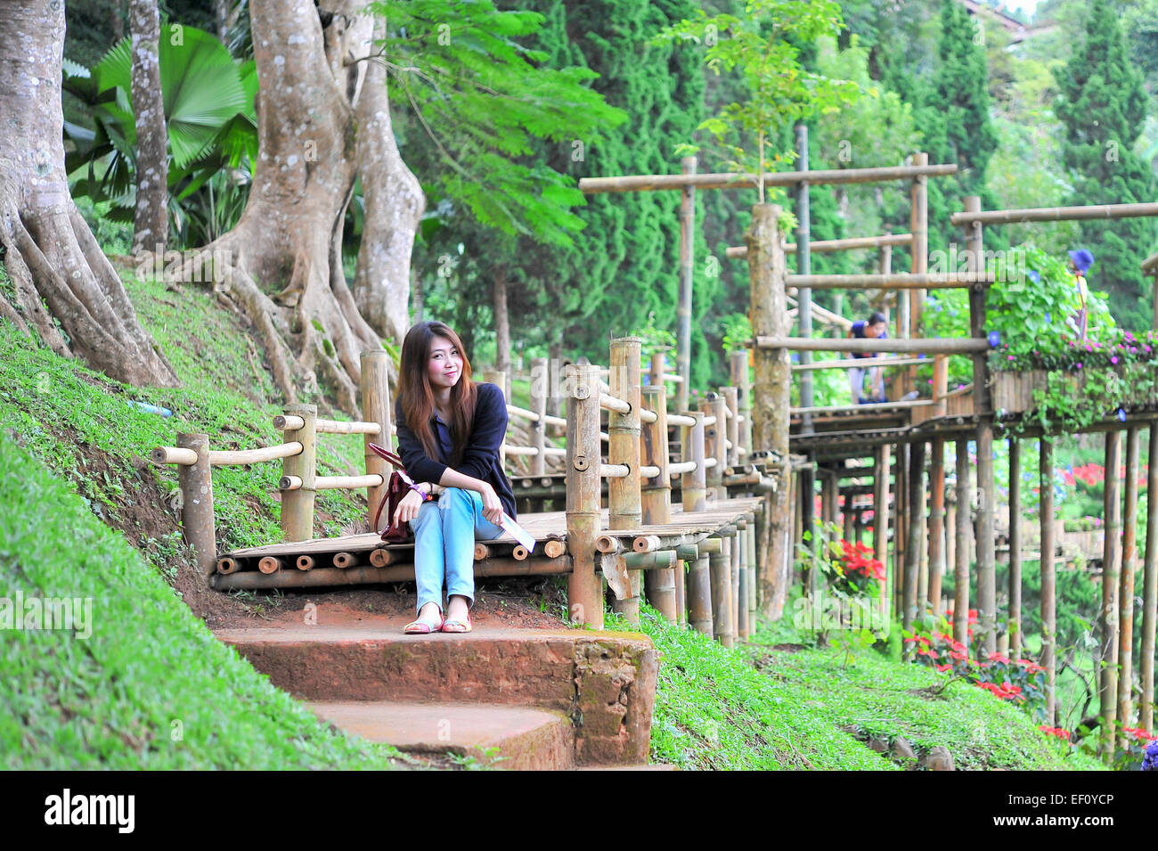 portrait asia young woman happy and smile on Doi tung garden, Dhiang ...