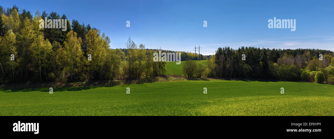 Panoramic summer landscape with blue sky, green field and forest Stock ...