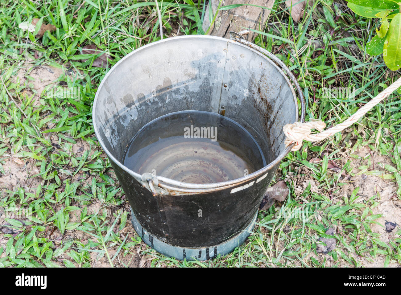 Classic bucket on grass hi-res stock photography and images - Alamy