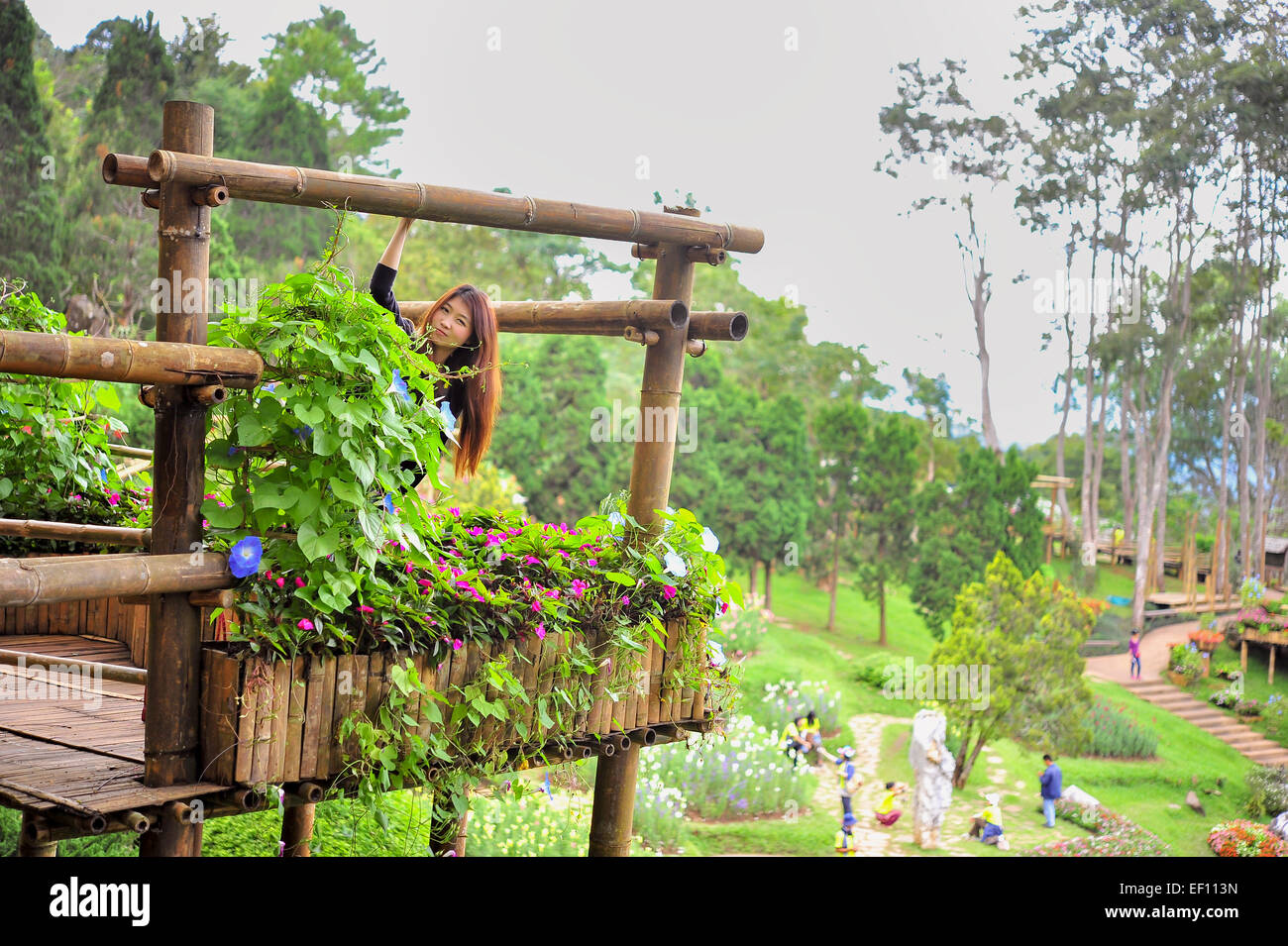 portrait asia young woman happy and smile on Doi tung garden, Dhiang ...