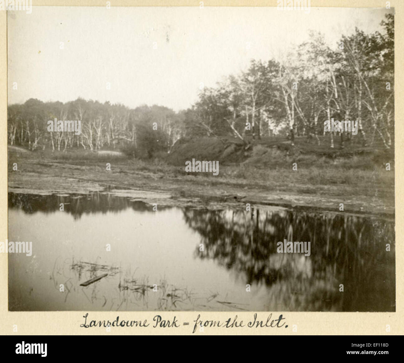 This photograph presents a view of Lansdowne Park from the inlet ...