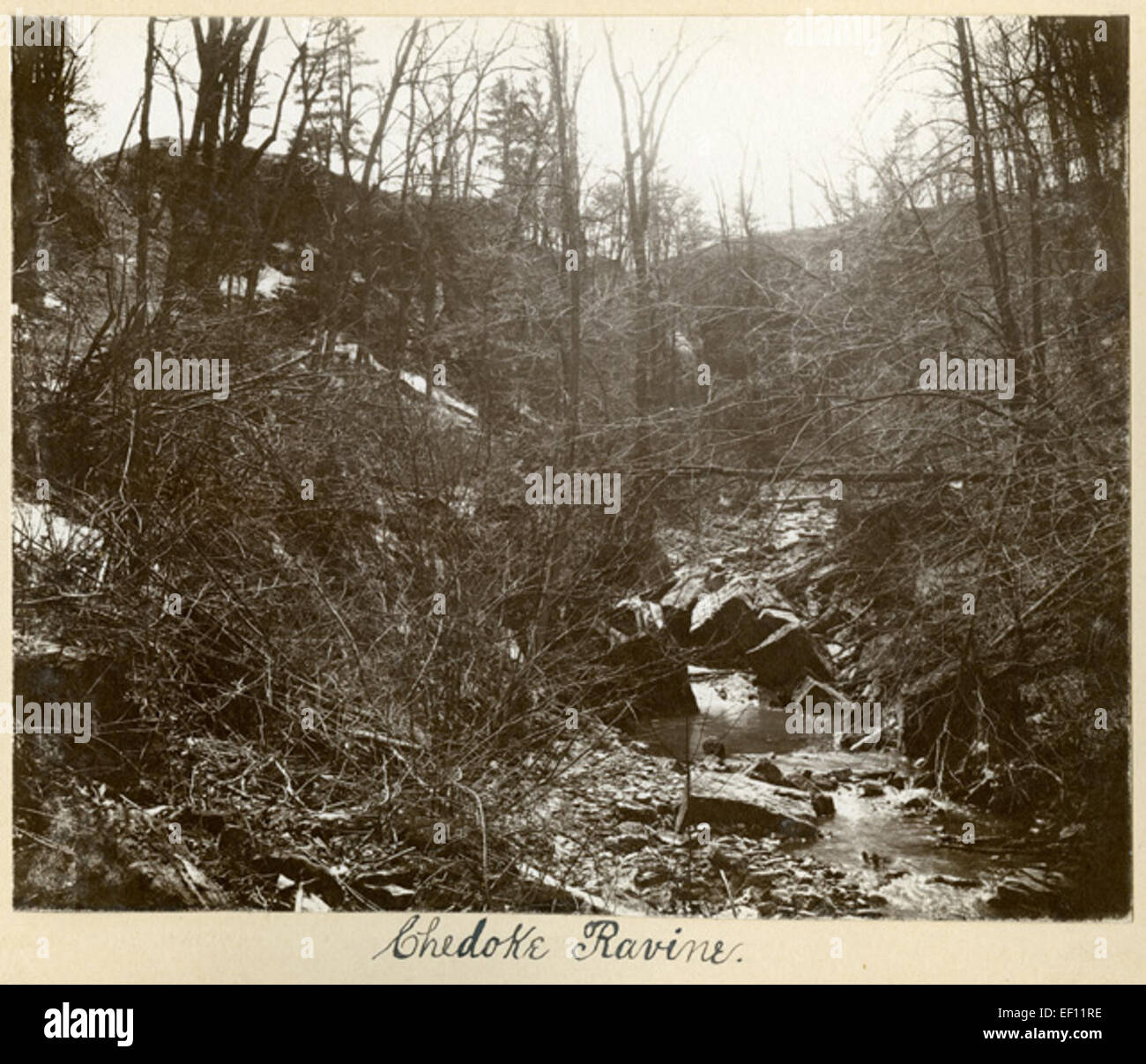 Chedoke park hi-res stock photography and images - Alamy