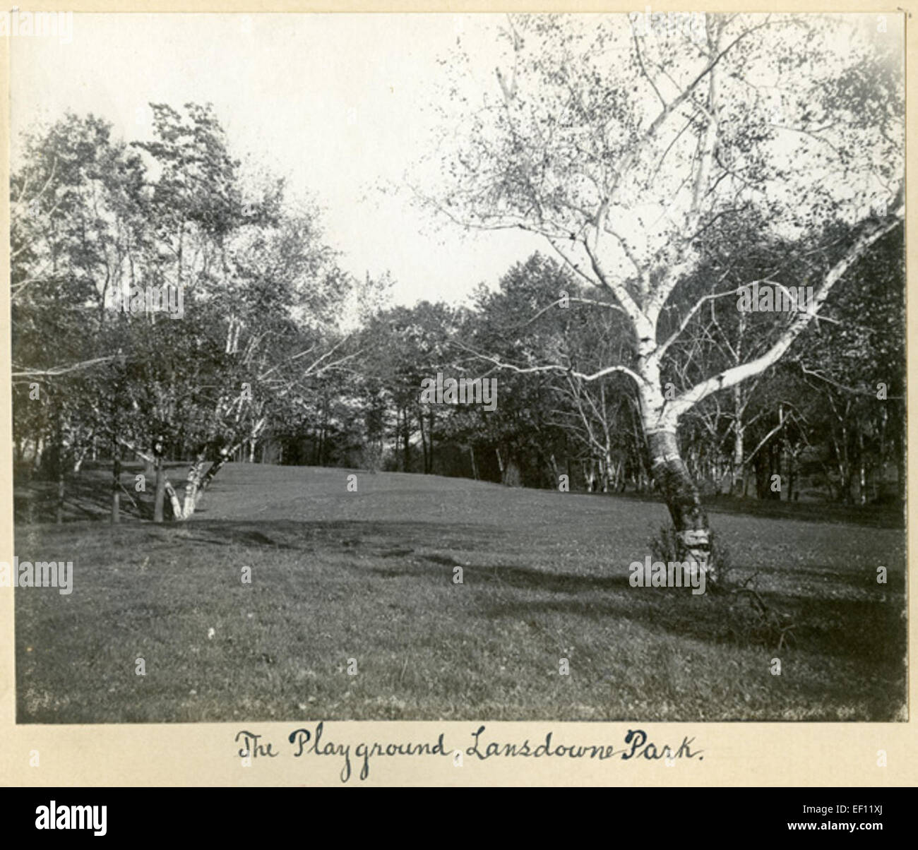 The Playground at Lansdowne Park is a historic area known for its ...