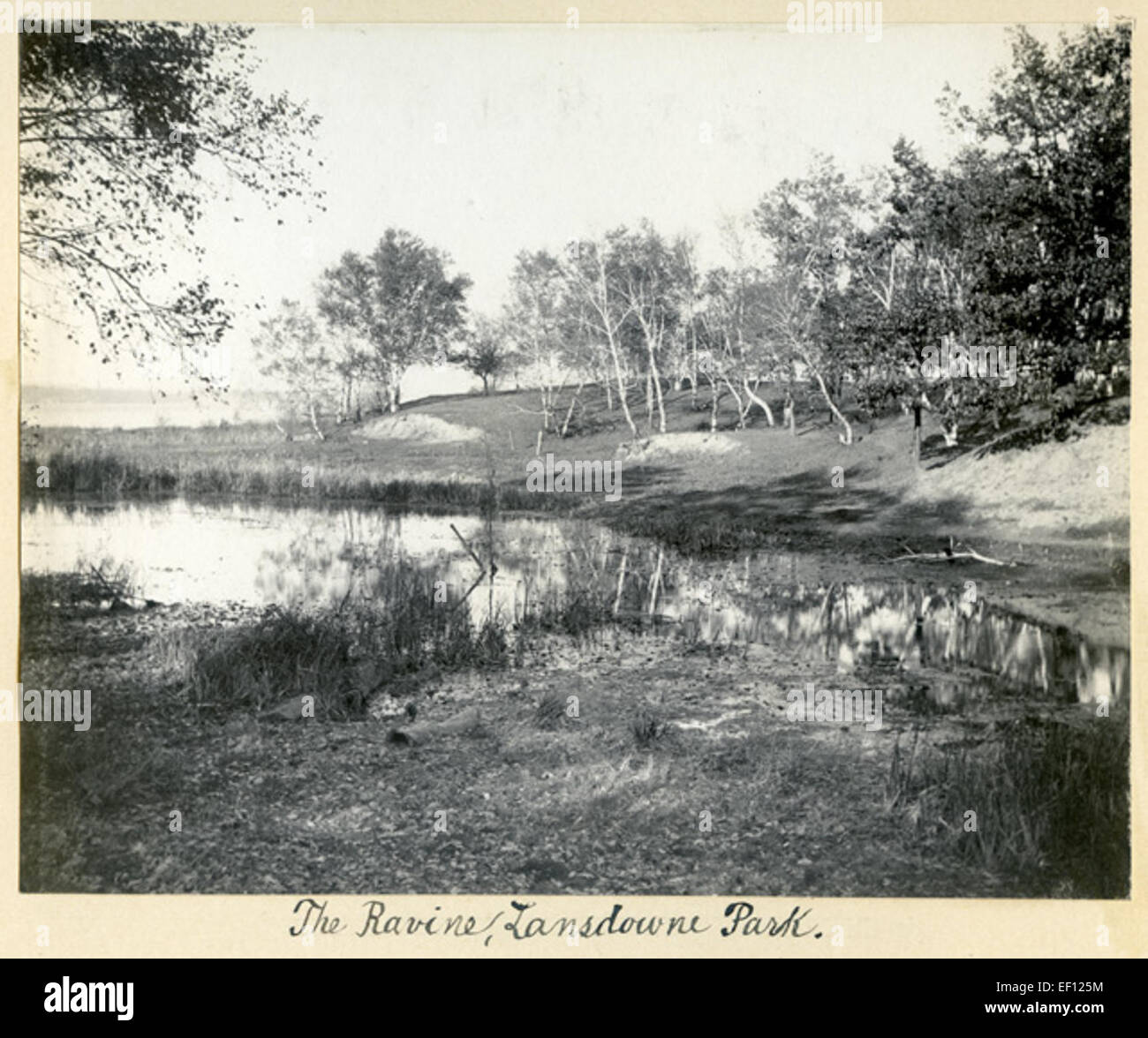 The Ravine at Lansdowne Park offers a scenic view, capturing the ...