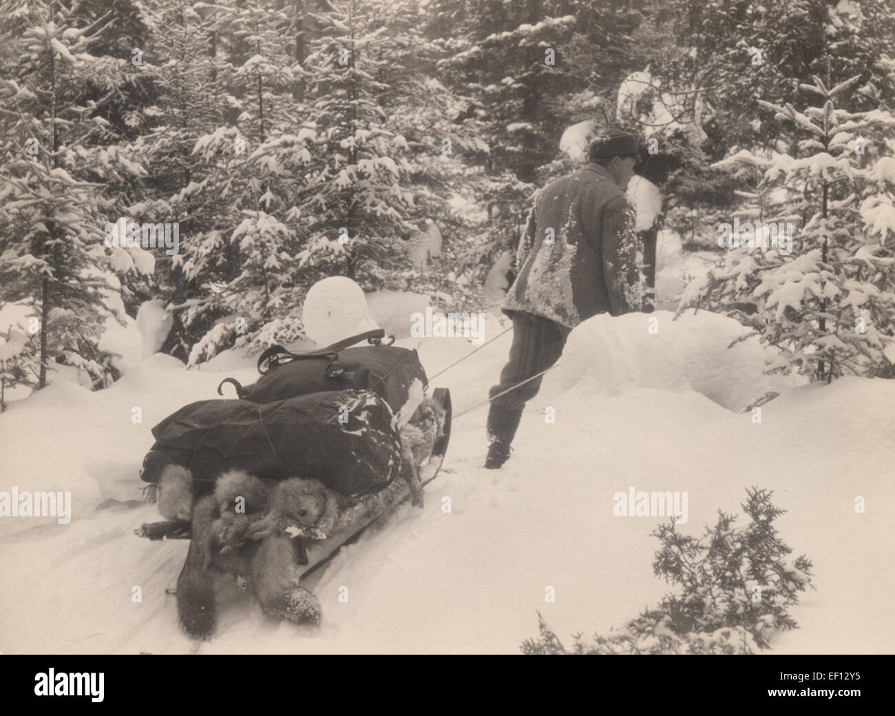 Hunting sleighs hi-res stock photography and images - Alamy