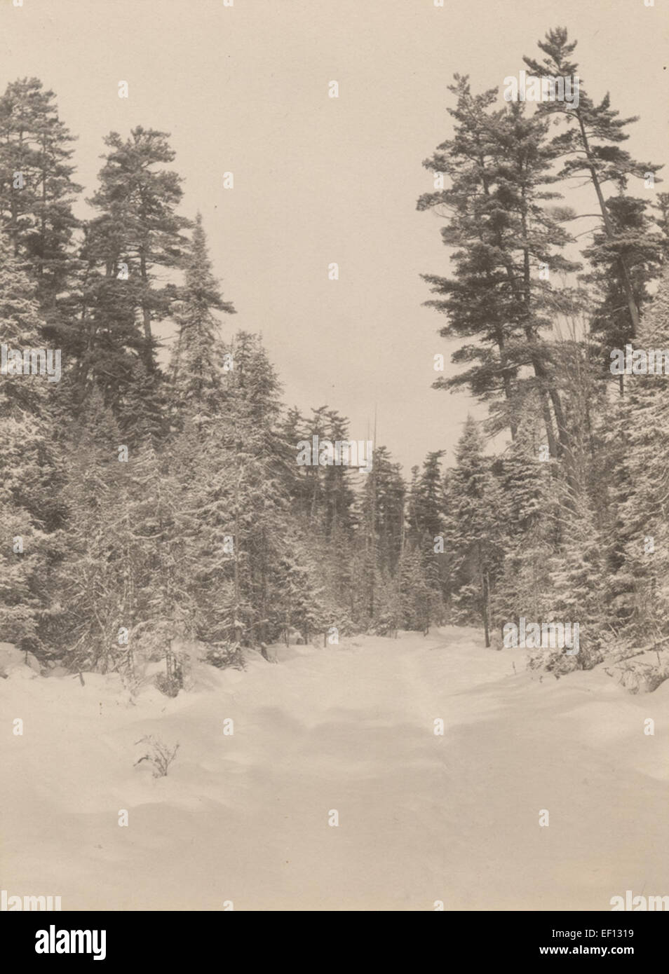 Winter landscape, 1917 Stock Photo - Alamy