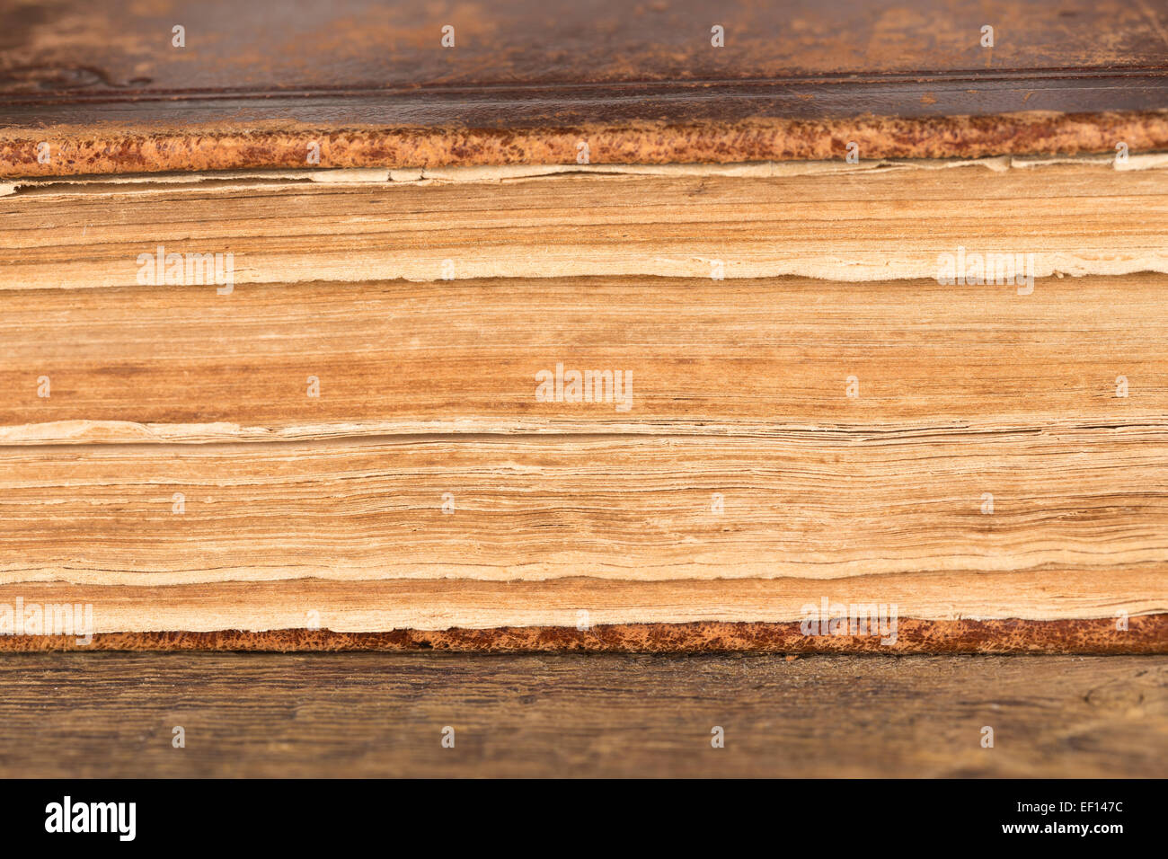Detail of pages of an old book - close up shot Stock Photo - Alamy