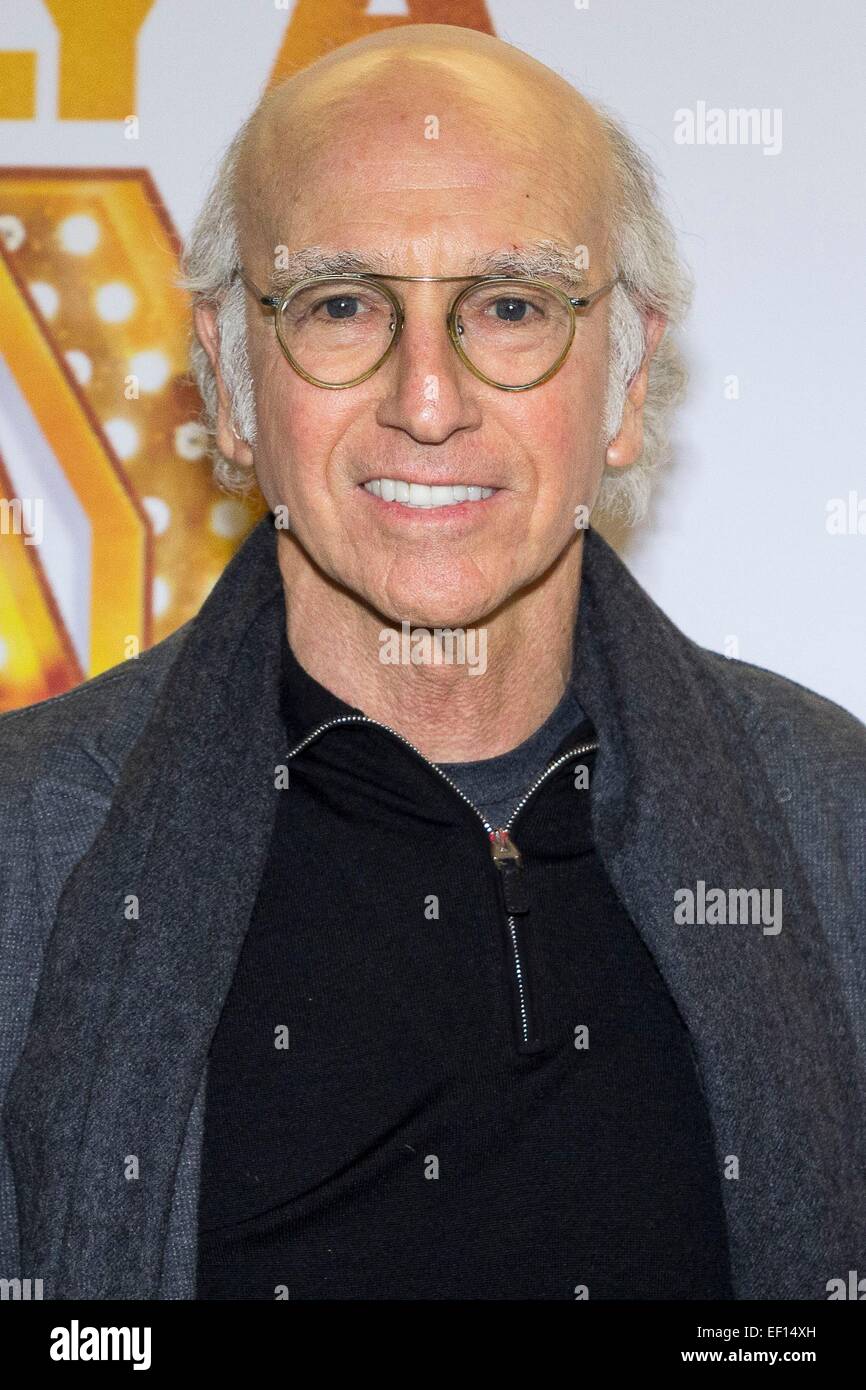 New York, NY, USA. 23rd Jan, 2015. Larry David at arrivals for IT'S ...