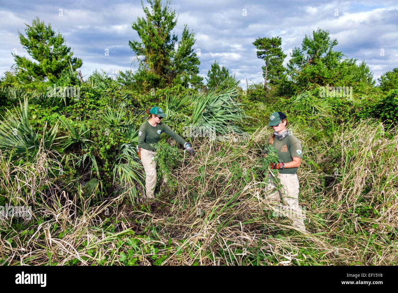 Stuart Florida,Seabranch Preserve State Park,Conservation Corps,student ...