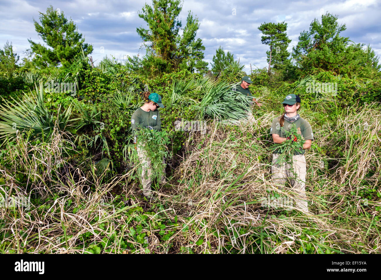 Stuart Florida,Seabranch Preserve State Park,Conservation Corps,student ...