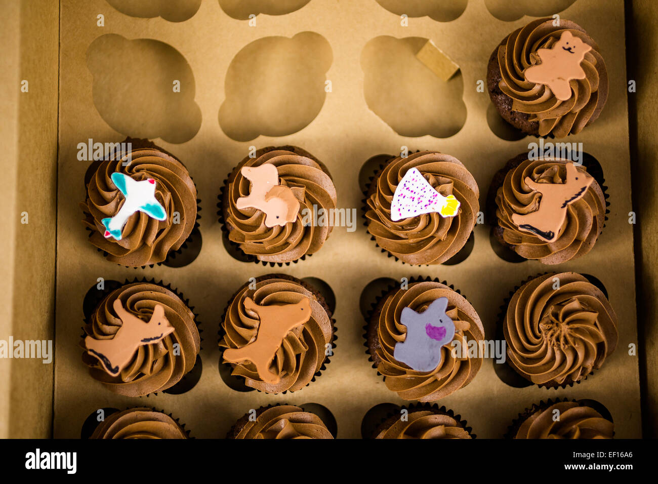 Fresh Chocolate cupcakes in the box Stock Photo - Alamy
